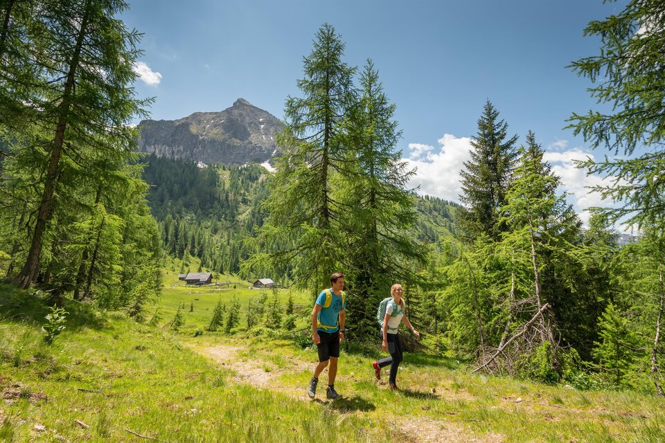 Wandern | © Wagrain-Kleinarl Tourism- Lorenz Masser