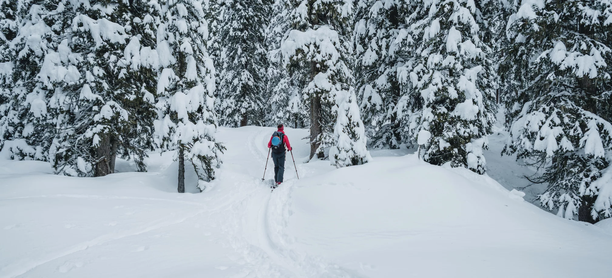 Piste tour route Graukogel | Gastein : Ski amadé